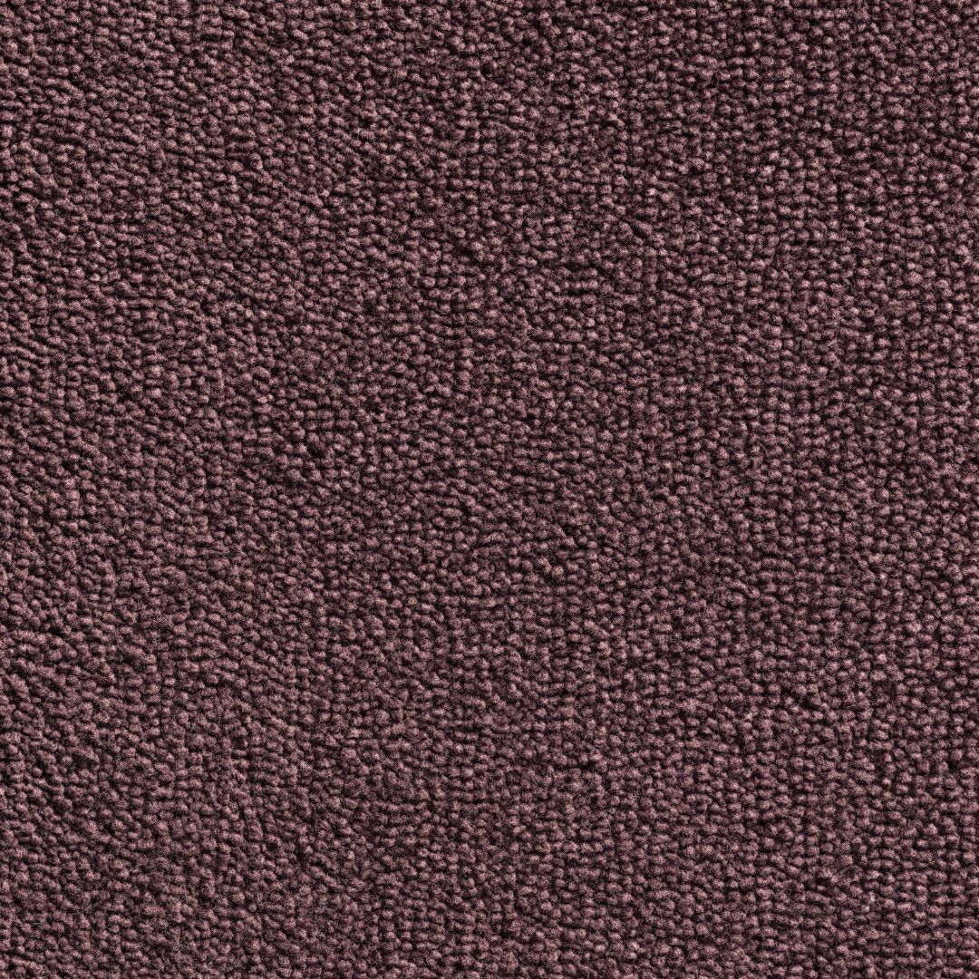 Aeon Carpet - Laminate Flooring