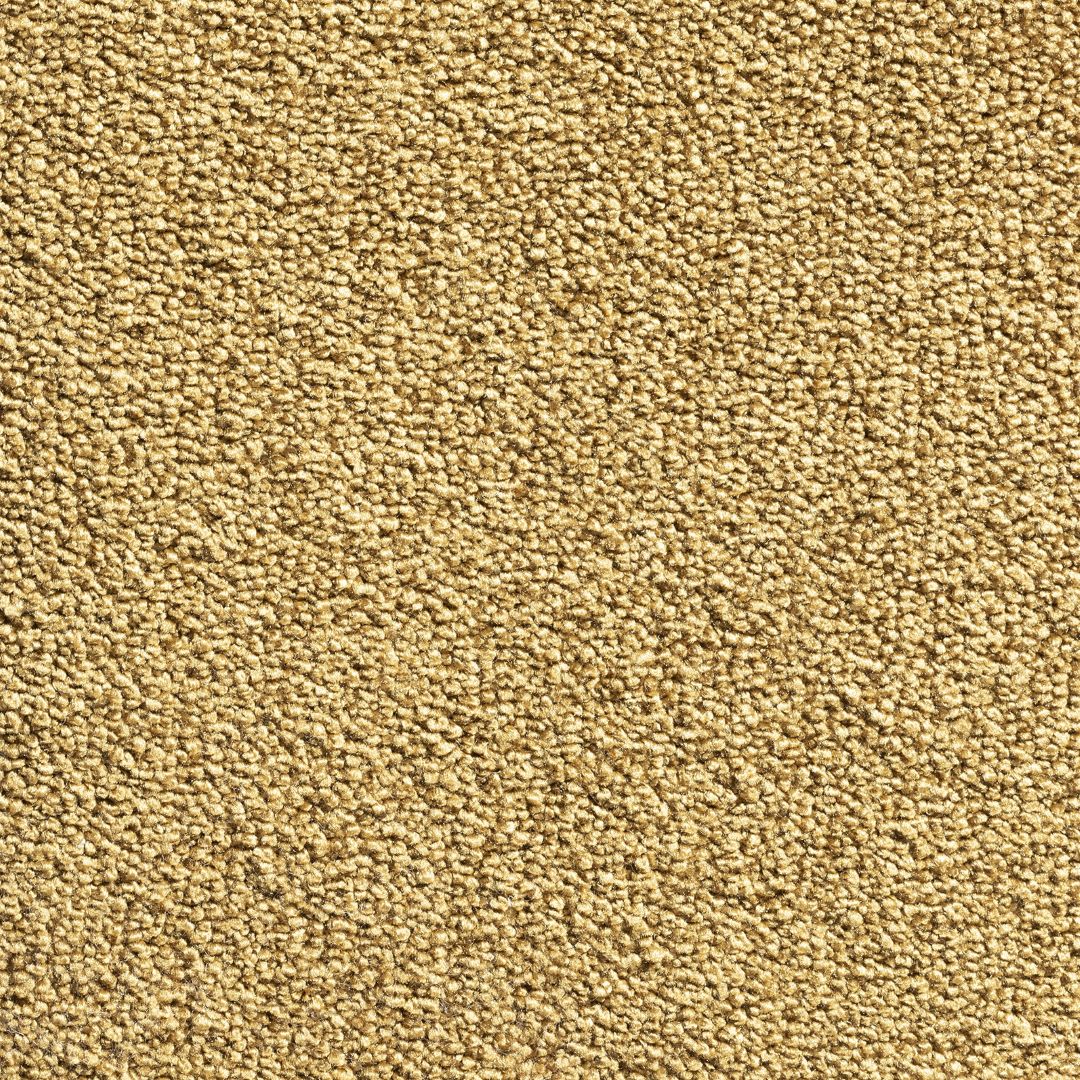 Aeon Carpet - Laminate Flooring