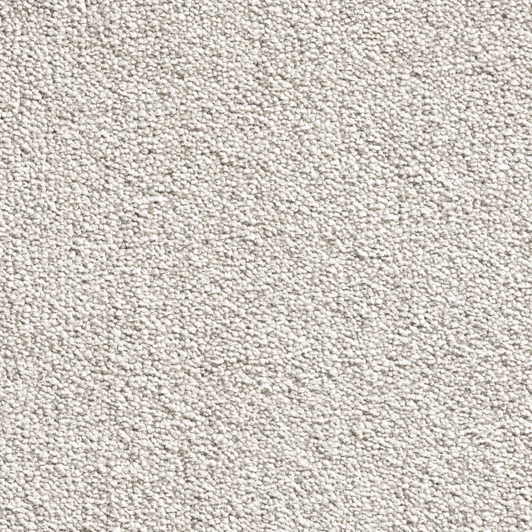 Aeon Carpet - Laminate Flooring